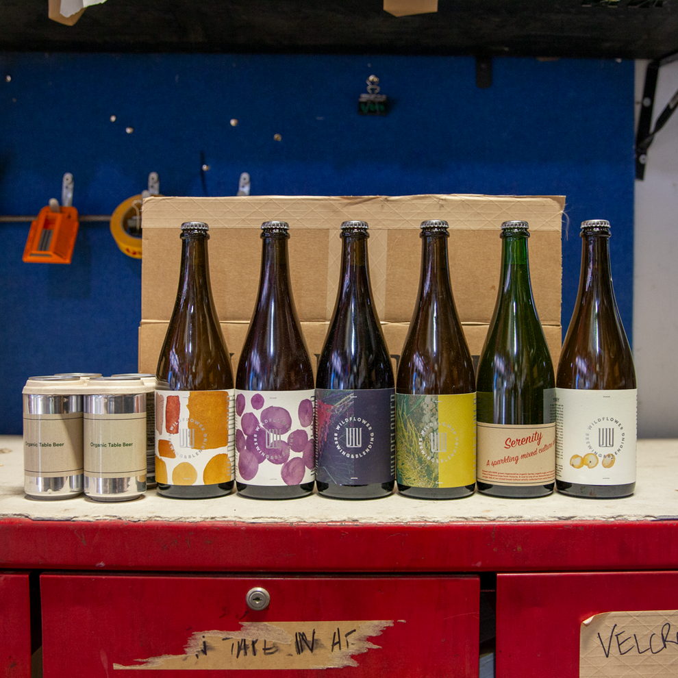 Monthly Beer Box - February 2024 – Wildflower Brewing & Blending