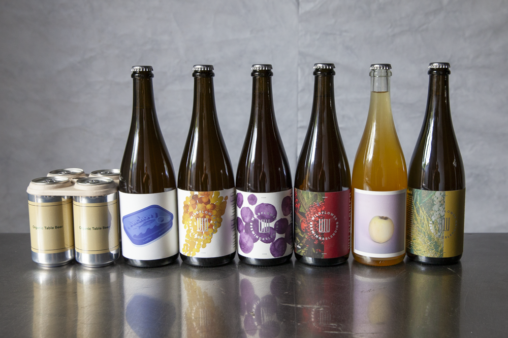 Monthly Beer Box - March 2025 – Wildflower Brewing & Blending