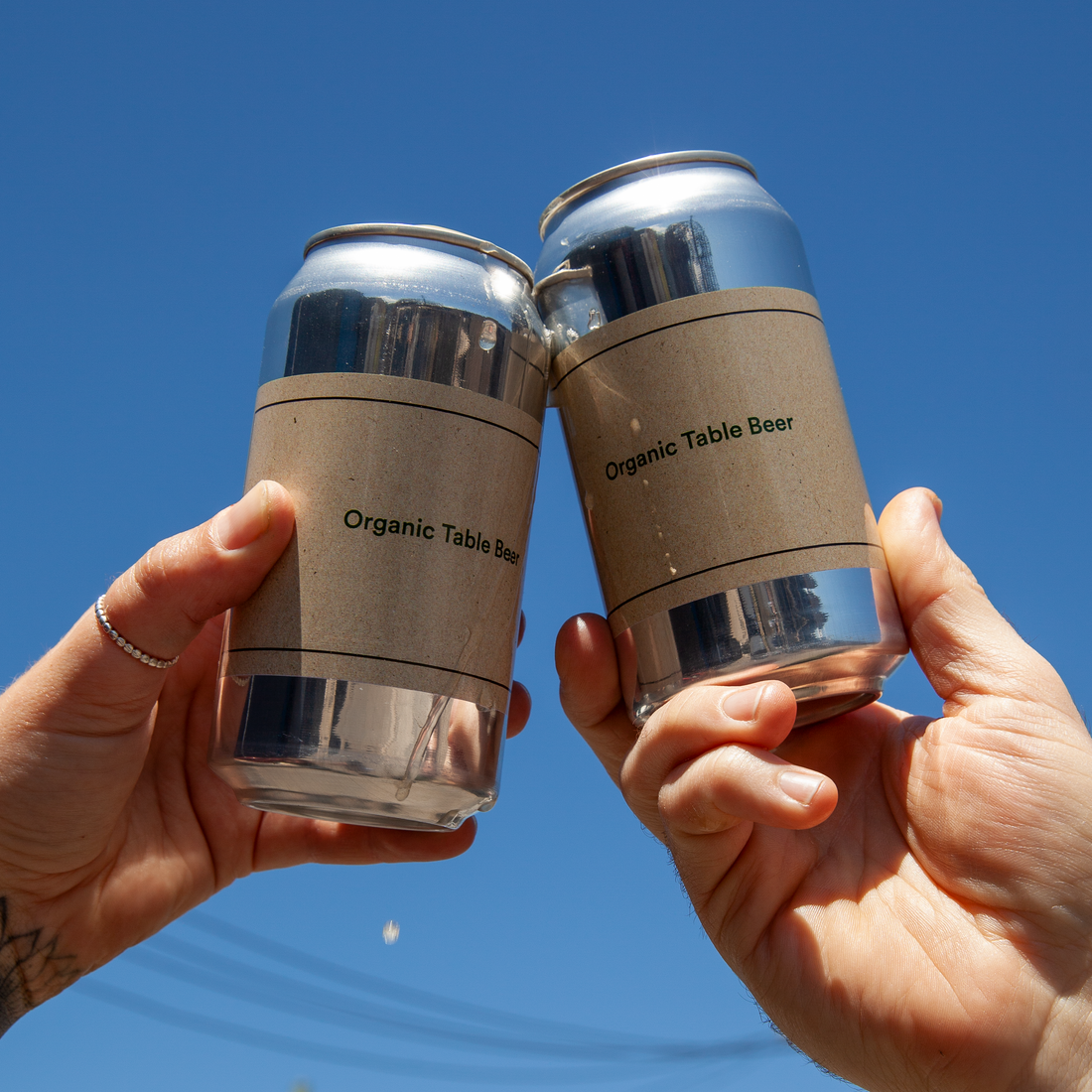 Organic Table Beer Batch #15 – Wildflower Brewing & Blending