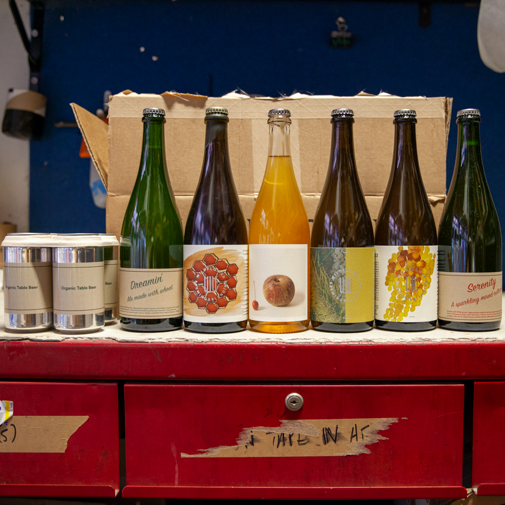 Monthly Beer Box - May 2024 – Wildflower Brewing & Blending